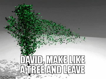 David - Imgflip