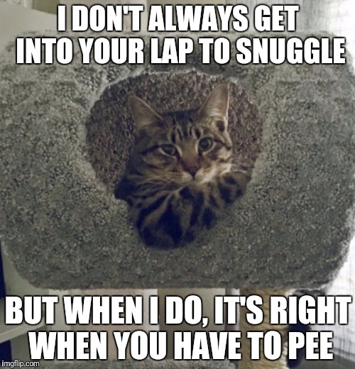 Image tagged in cmxmx - Imgflip