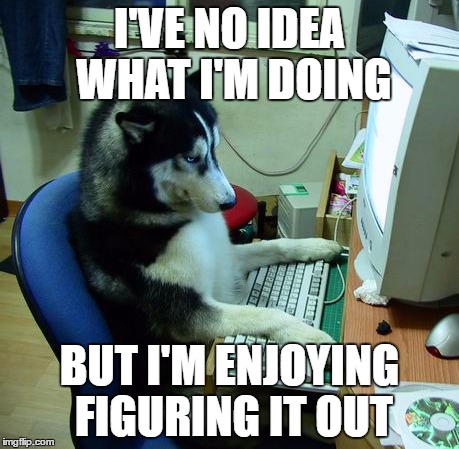 I Have No Idea What I Am Doing Meme - Imgflip