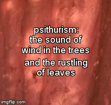 psithurism - Imgflip