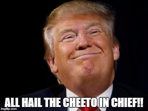 Image tagged in donald trump,cheetos,cheeto in chief - Imgflip
