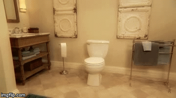 So I'm taking a dump and this thing appears on my lap - Imgflip