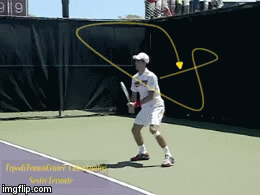 The best two-handed back-hand N. Djokovic - Imgflip