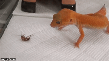 Pinpoint accuracy! - Imgflip