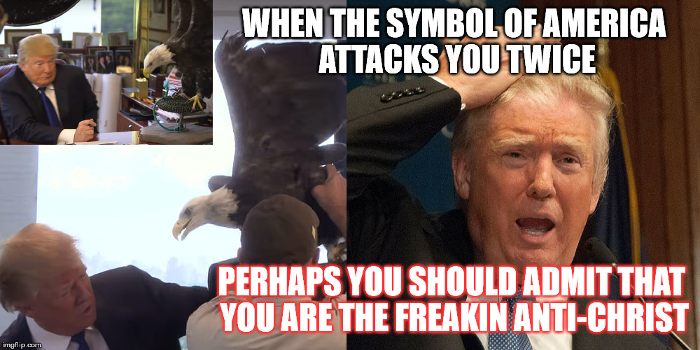 Anti Eagle Memes