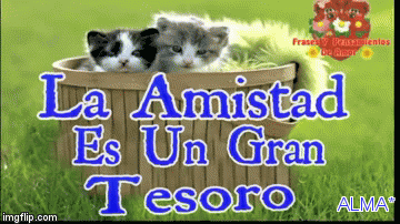 Animated GIF - Imgflip