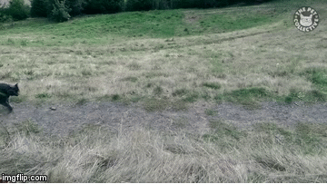 When Someone Tries To Drag Me Into Something Bad - Imgflip