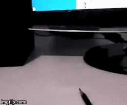 Cute cat filching a pencil - Imgflip