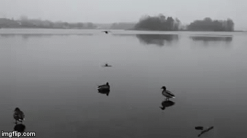Now that's what I call a smooth landing - Imgflip