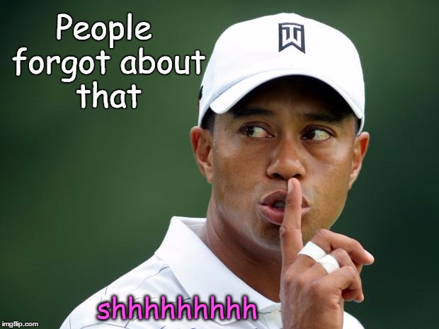 Bad Pun Hyena - Imgflip