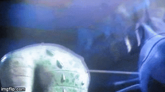 Bats gets bitten... - Imgflip