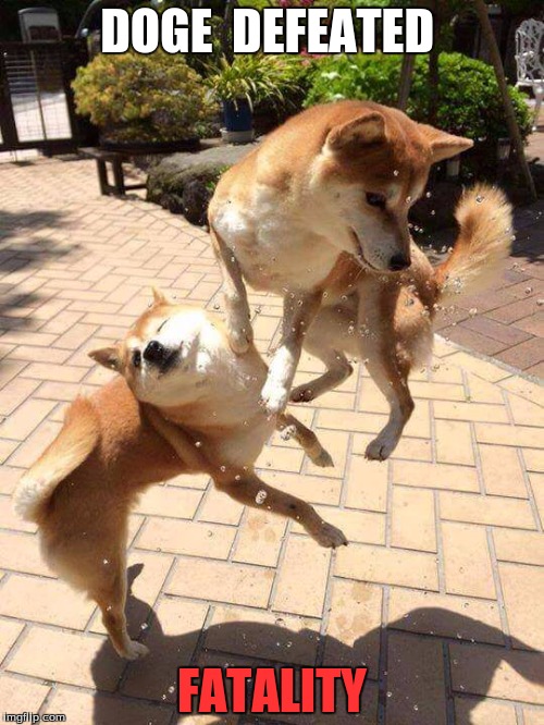 Fighting Meme Template