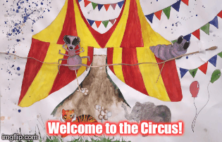 Animated GIF - Imgflip