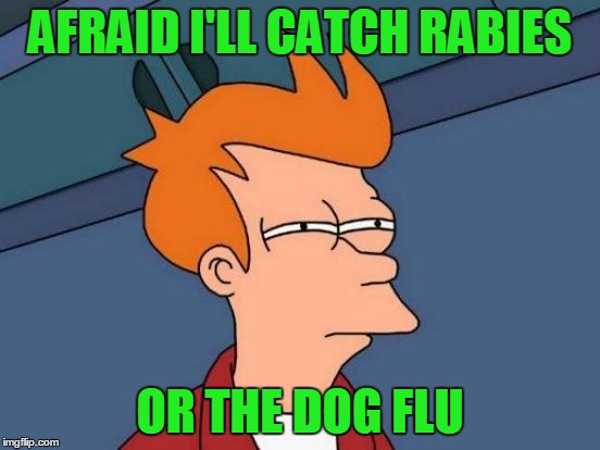 Futurama Fry Meme - Imgflip
