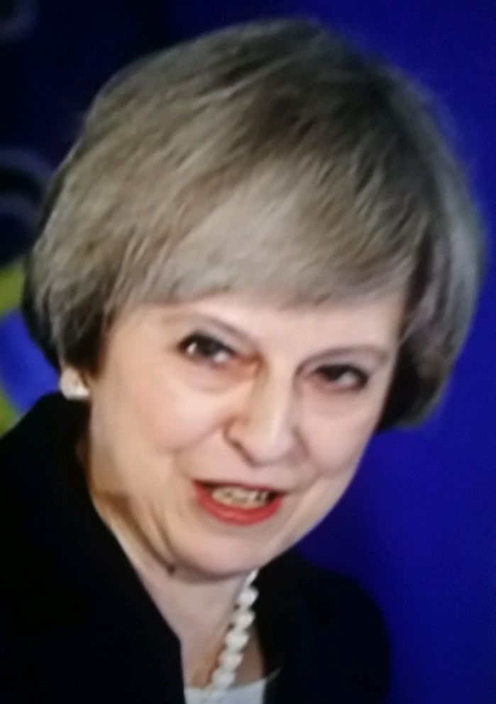 Theresa May Blank Template Imgflip