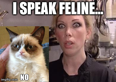 All I could think about when I finally watched this video... - Imgflip