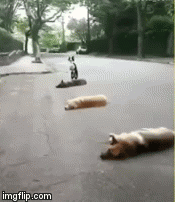 Very trusting volunteers - Imgflip