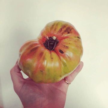 surplus super stars - Imgflip