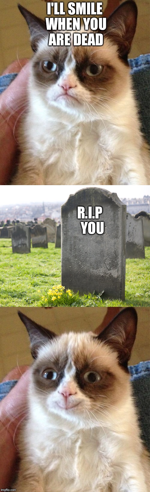 Grumpy cat to happy cat - Imgflip