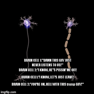 2 brain cells just talkin' - Imgflip