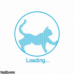 Cat Loading! - Imgflip