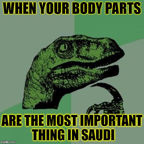 Philosoraptor Meme - Imgflip