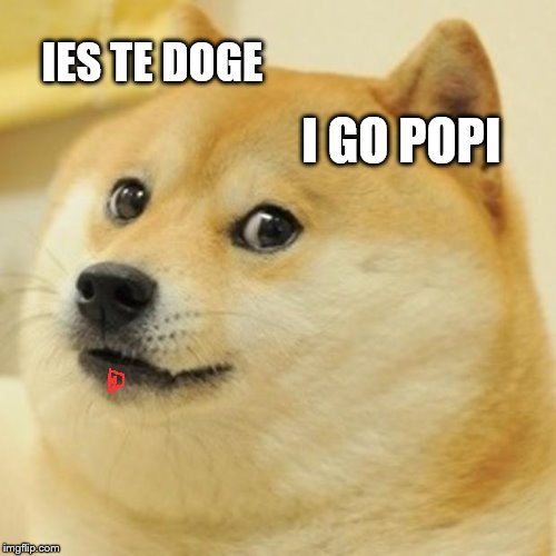 Doge Meme - Imgflip