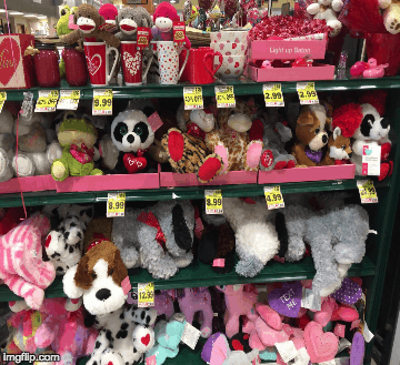 Animated GIF - Imgflip