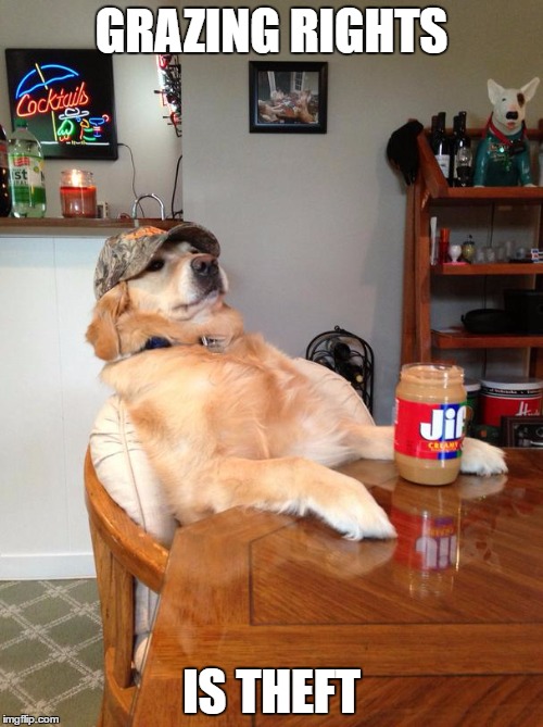Redneck Retriever - Imgflip