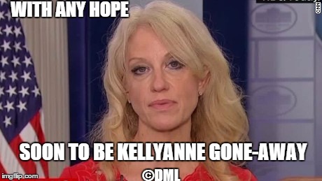 KELLYANNE CONWAY - Imgflip
