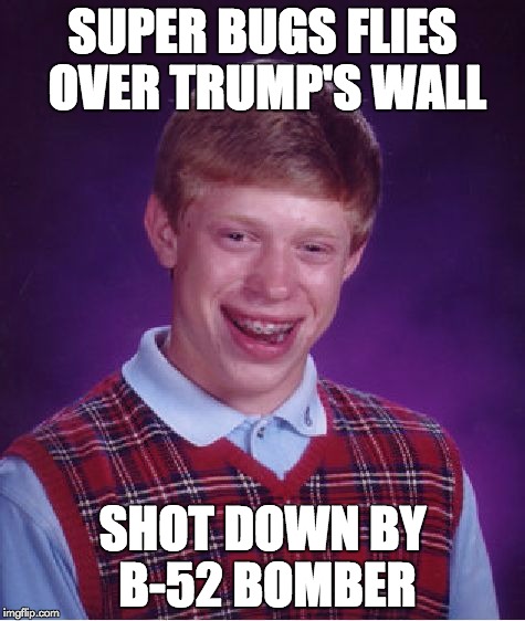 Even Bugs is affected by Trump's border wall (Cartoon Week, 2/15-2/22 ...