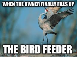 Image tagged in memes - Imgflip