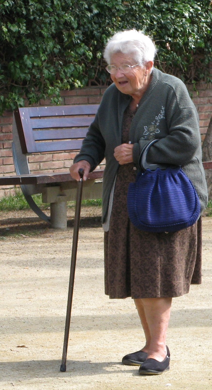  old Lady Meme Templates Imgflip
