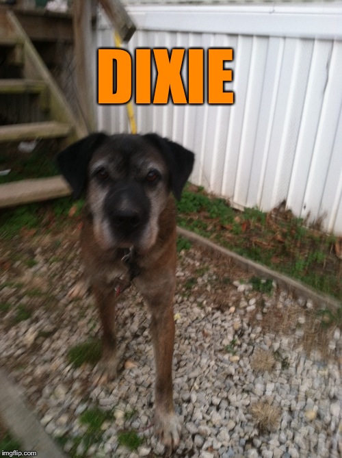 Philosoraptor Meme - Imgflip