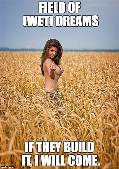 Who's looking to play the field? - Imgflip