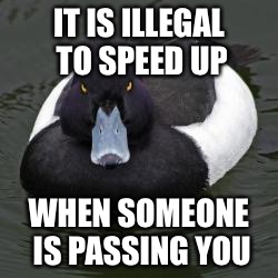 Angry Advice Mallard - Imgflip