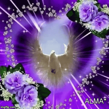 Animated GIF - Imgflip