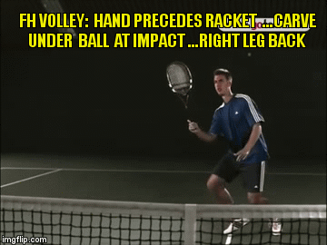 Tennis: FH Volley - Imgflip