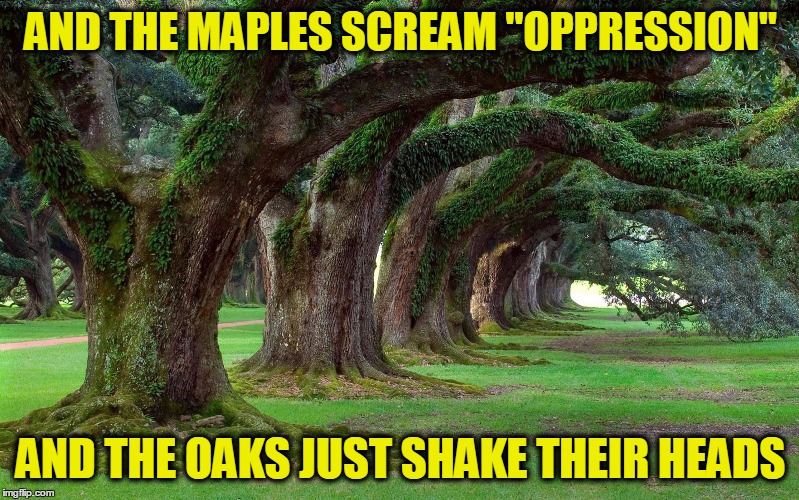 On the corner of Maple and Elm - Imgflip