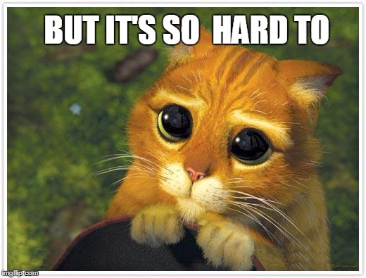 Shrek Cat Meme - Imgflip