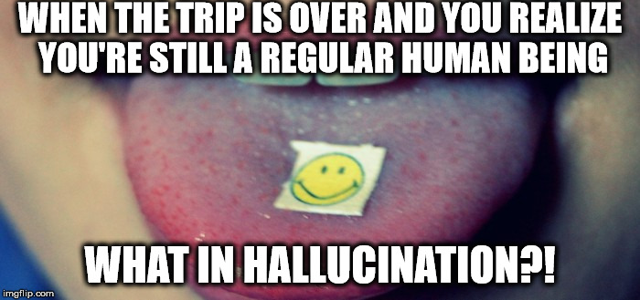 Image tagged in funny,lsd,hallucination,meme,tarnation meme,trip - Imgflip