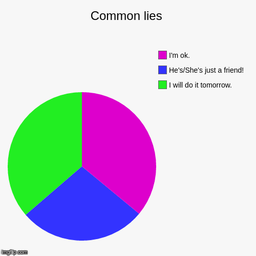 The lies we all tell - Imgflip