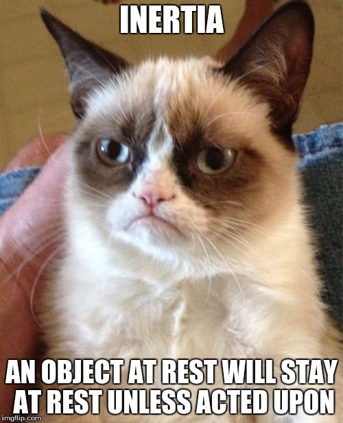 Grumpy Cat Meme - Imgflip