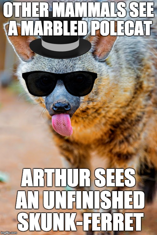Image tagged in arthur the aardwolf,2017mmm,memes - Imgflip