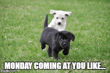 Monday be like... - Imgflip