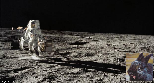 Moon landing - Imgflip