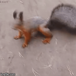 Red rover Red rover I call all o yall over - Imgflip