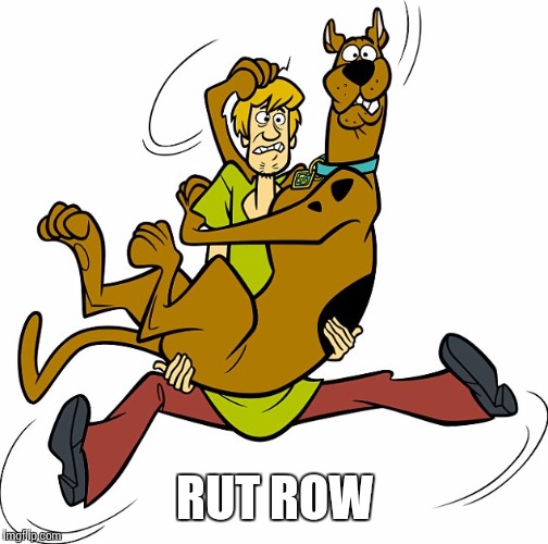 Looking for a "medium dog"? - Imgflip