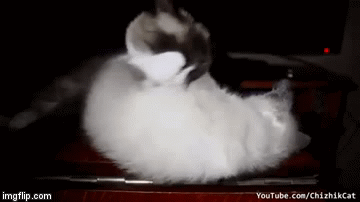 when your tongue game is to strong - Imgflip