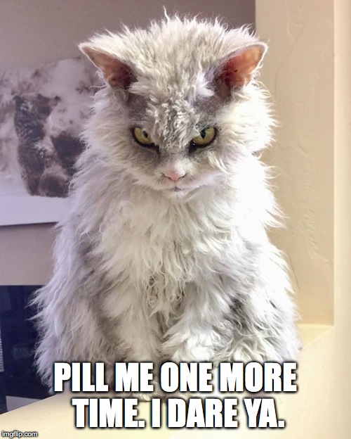 Pompous Albert's Medicine Time. - Imgflip